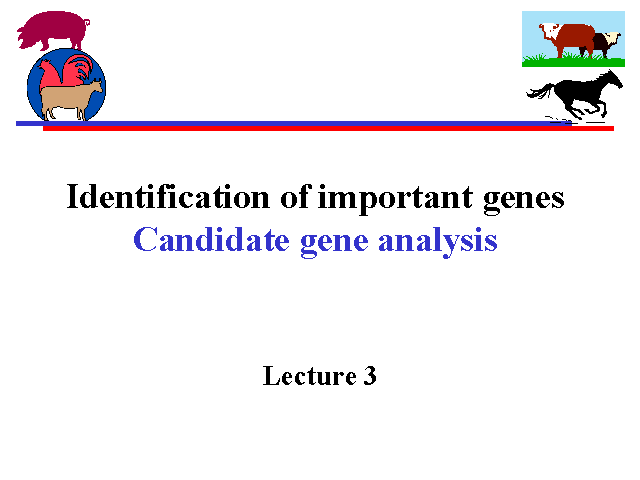 Identification of important genes Candidate gene analysis